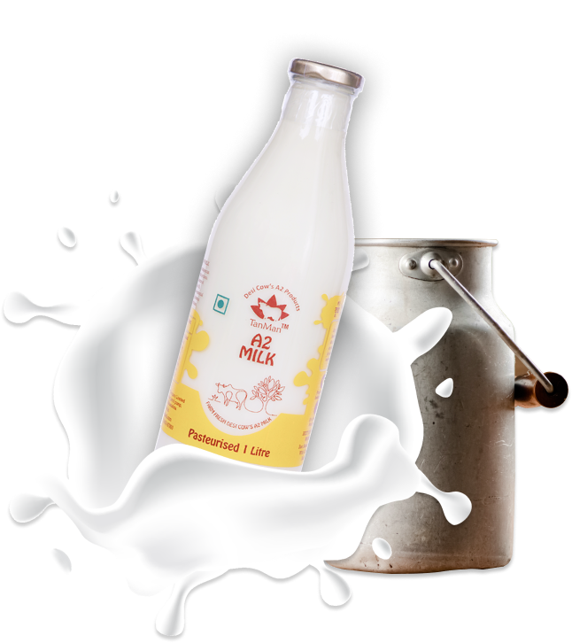 Organic High Quality Milk Products | Tanmana2milk